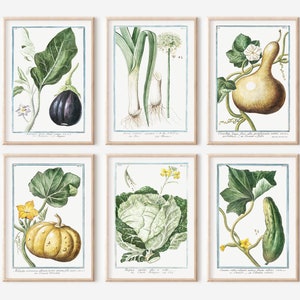 Vintage Botanical Kitchen Print Set: Vegetable Garden Art (digital ...