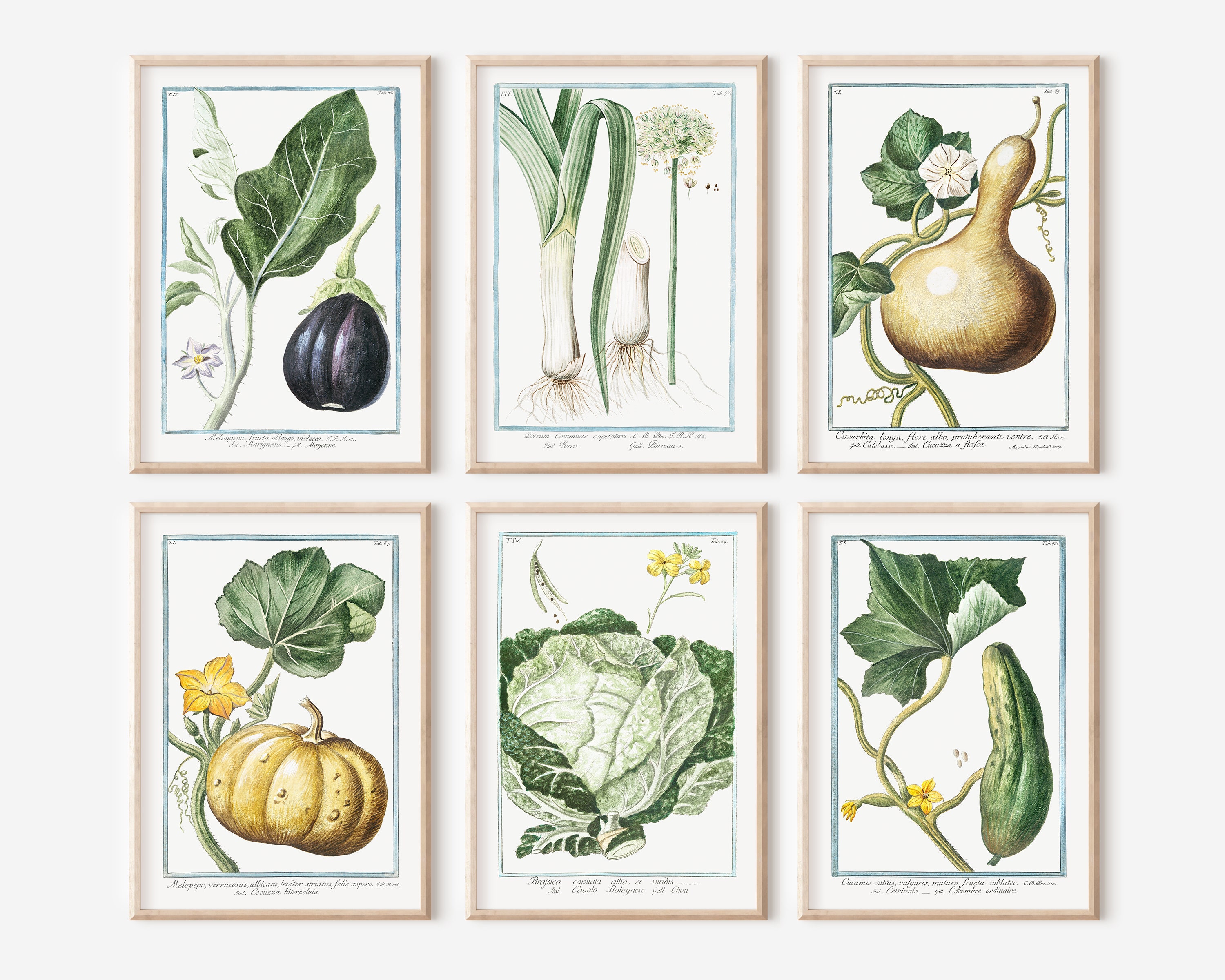 Vintage Botanical Kitchen Print Set: Vegetable Garden Art (digital ...