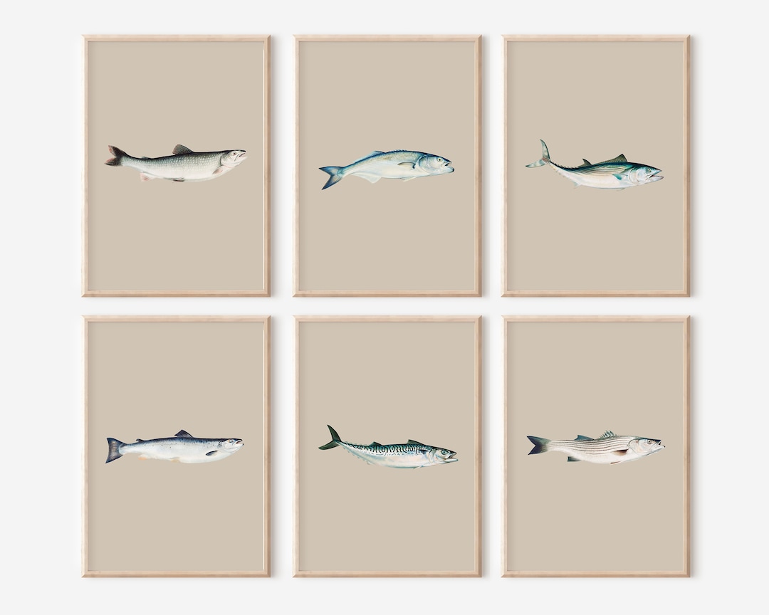 Fishing Prints Set, American Fish Prints, Fishing Print Set, Fish ...