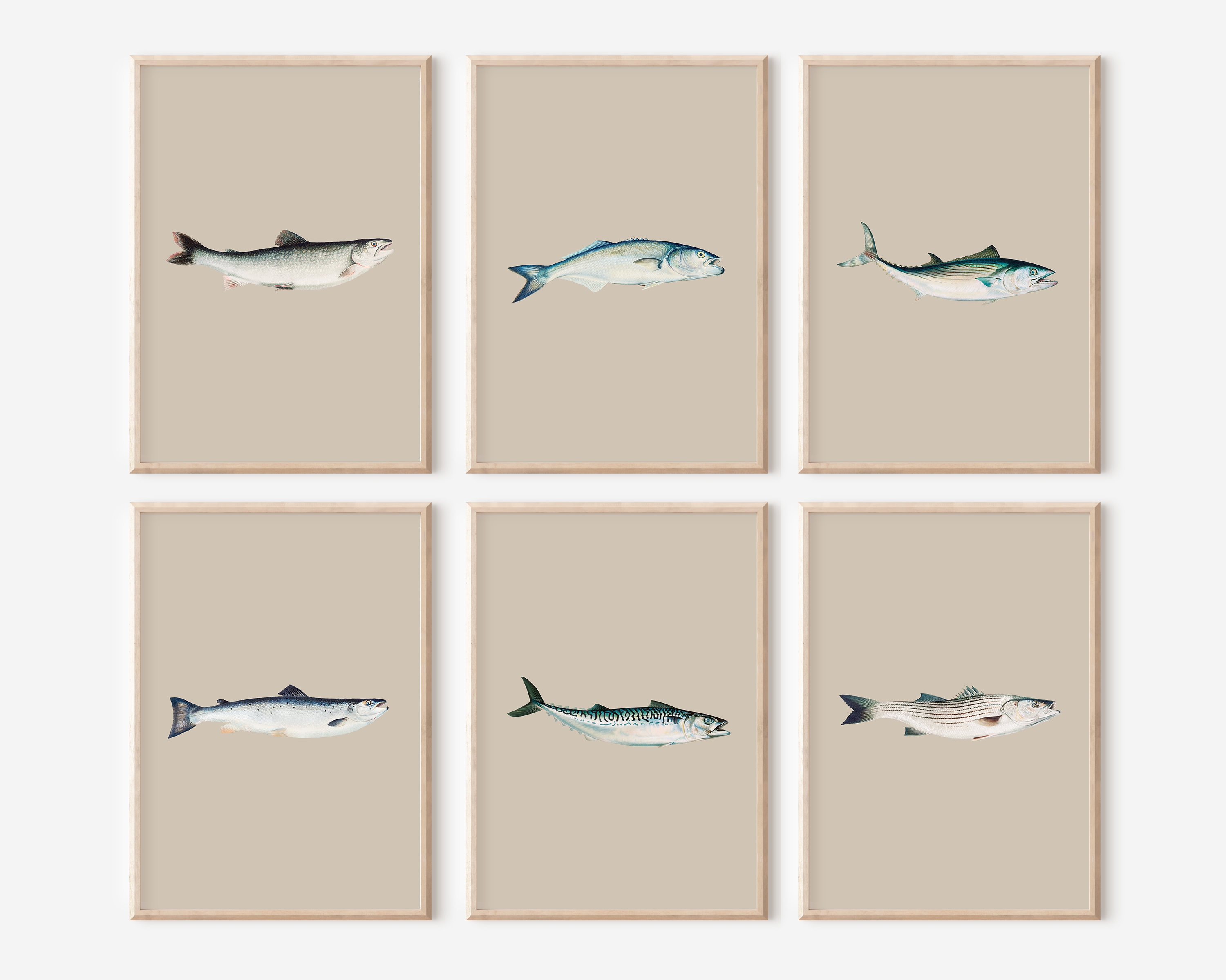 Neutral Fishing Prints Set 6 Fish Prints Fishing Print Set - Etsy
