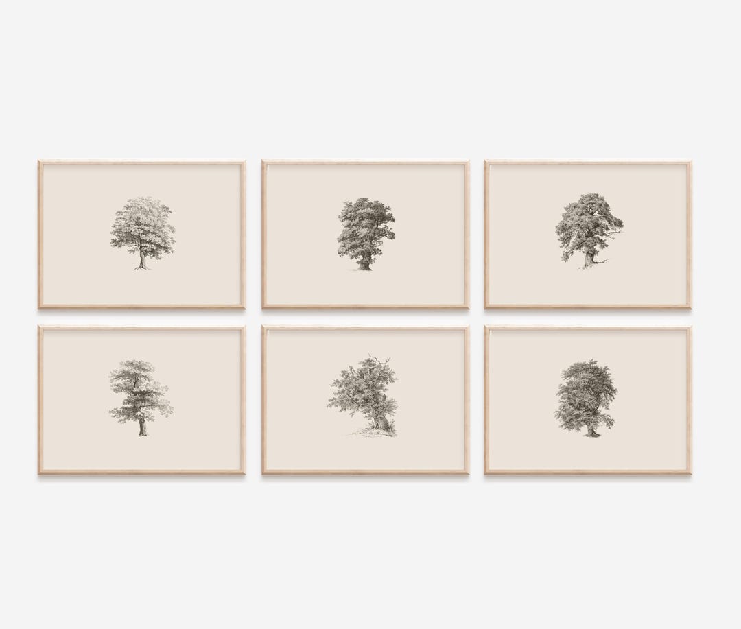 Landscape Tree Sketch Print Set, Antique Botanical Art, British Tree ...