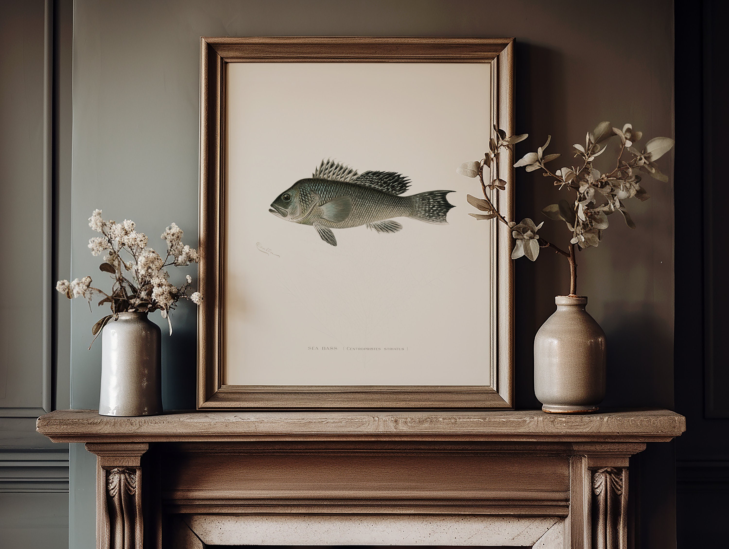 Vintage Fish Print Set: Neutral Marine Biology Art (digital Download ...