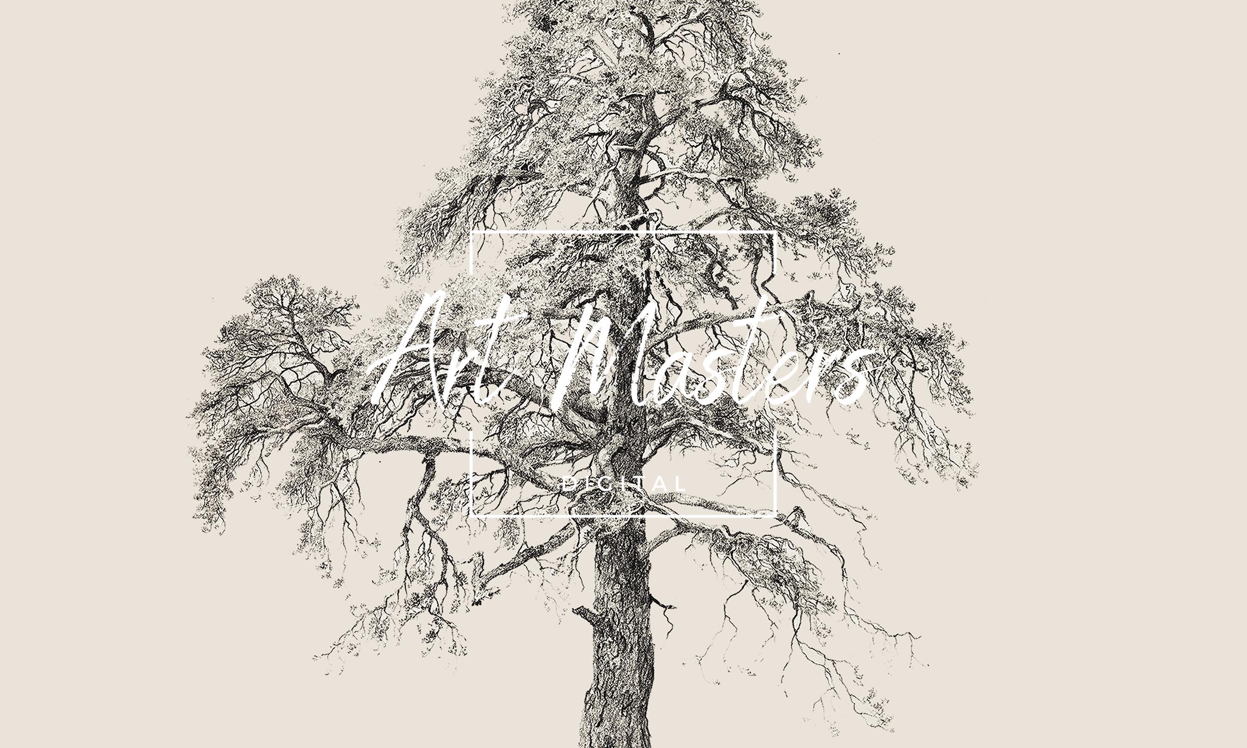 Antique Tree Sketch Print Set: British Botanical Art (digital Download ...