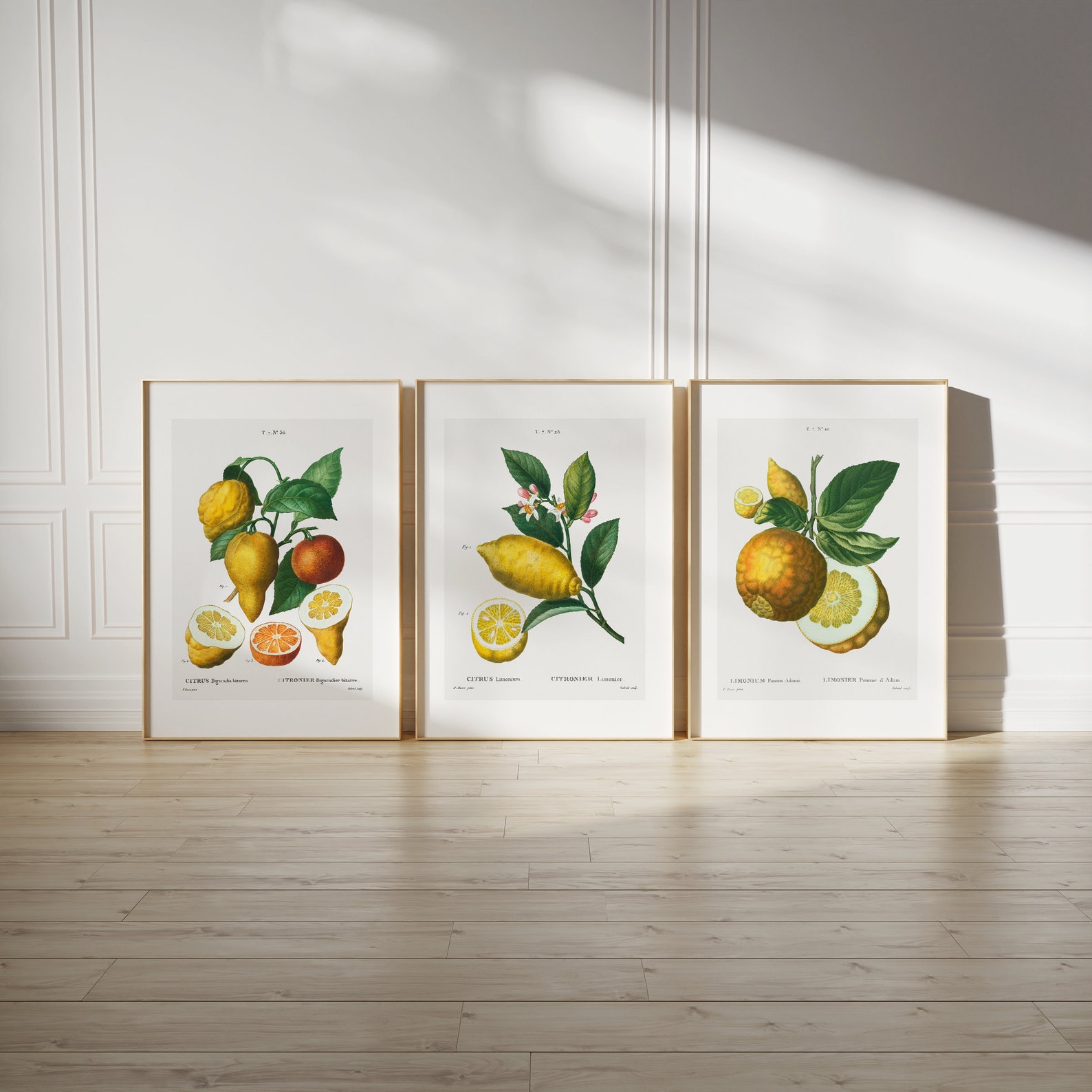 Vintage Kitchen Wall Art Set of 6, Lemon Kitchen Wall Art, Printable ...