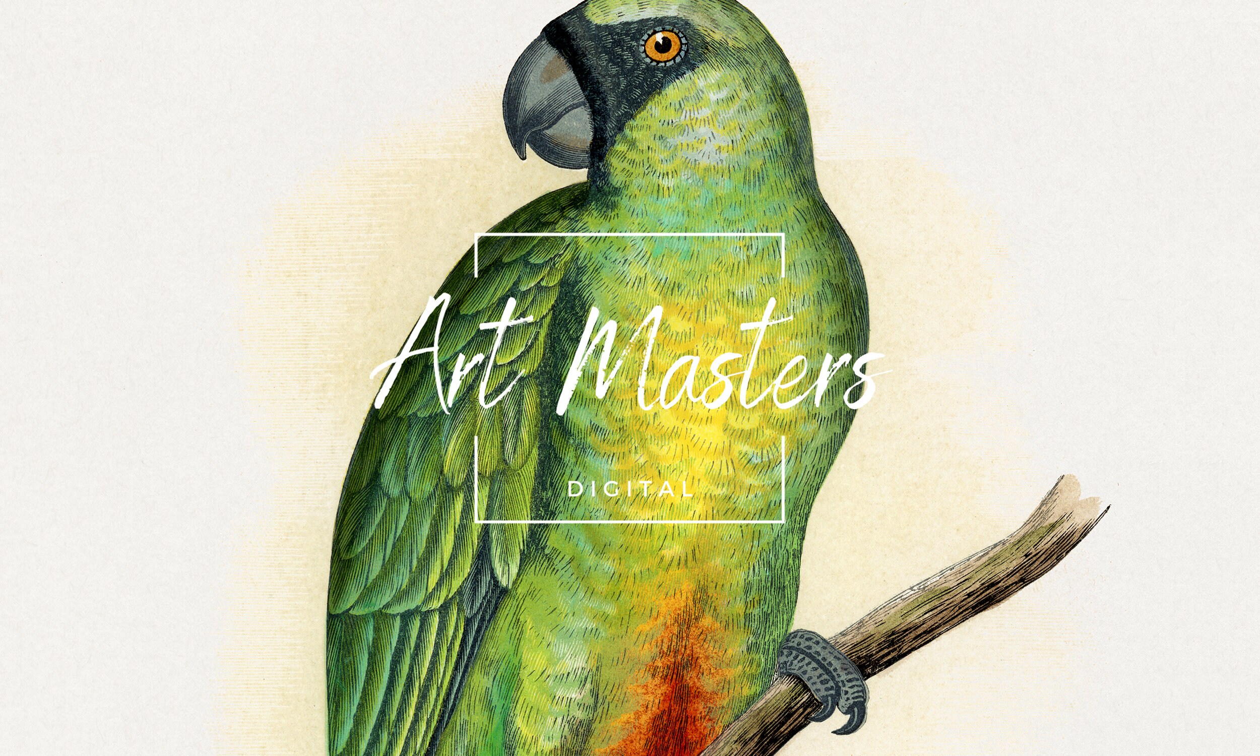 Set of 6 Vintage Parrot Prints, Parrot Wall Art for Office, Bird ...