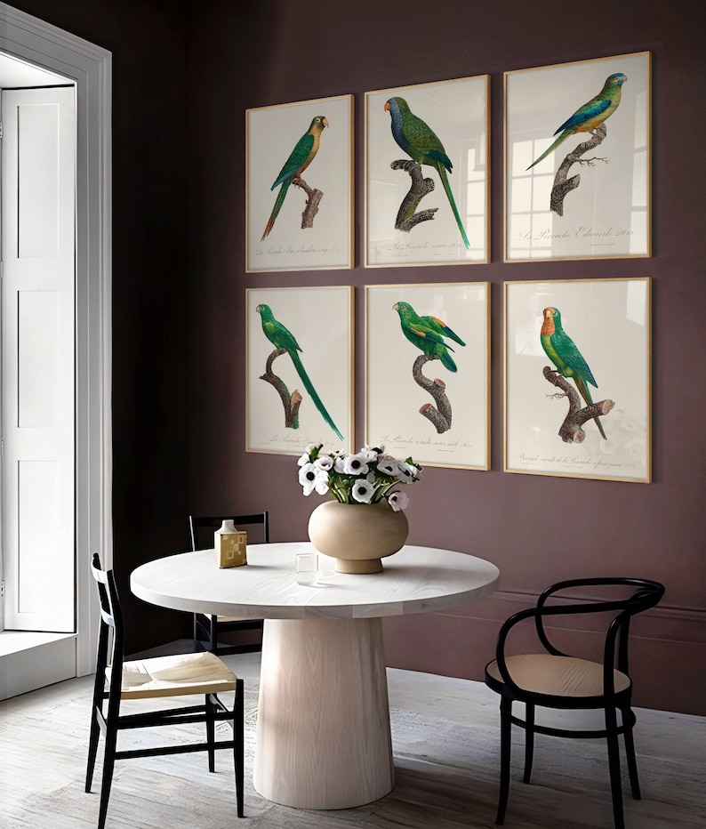 Vintage Parrot Prints Set: Ornithological Wall Art (digital Download ...