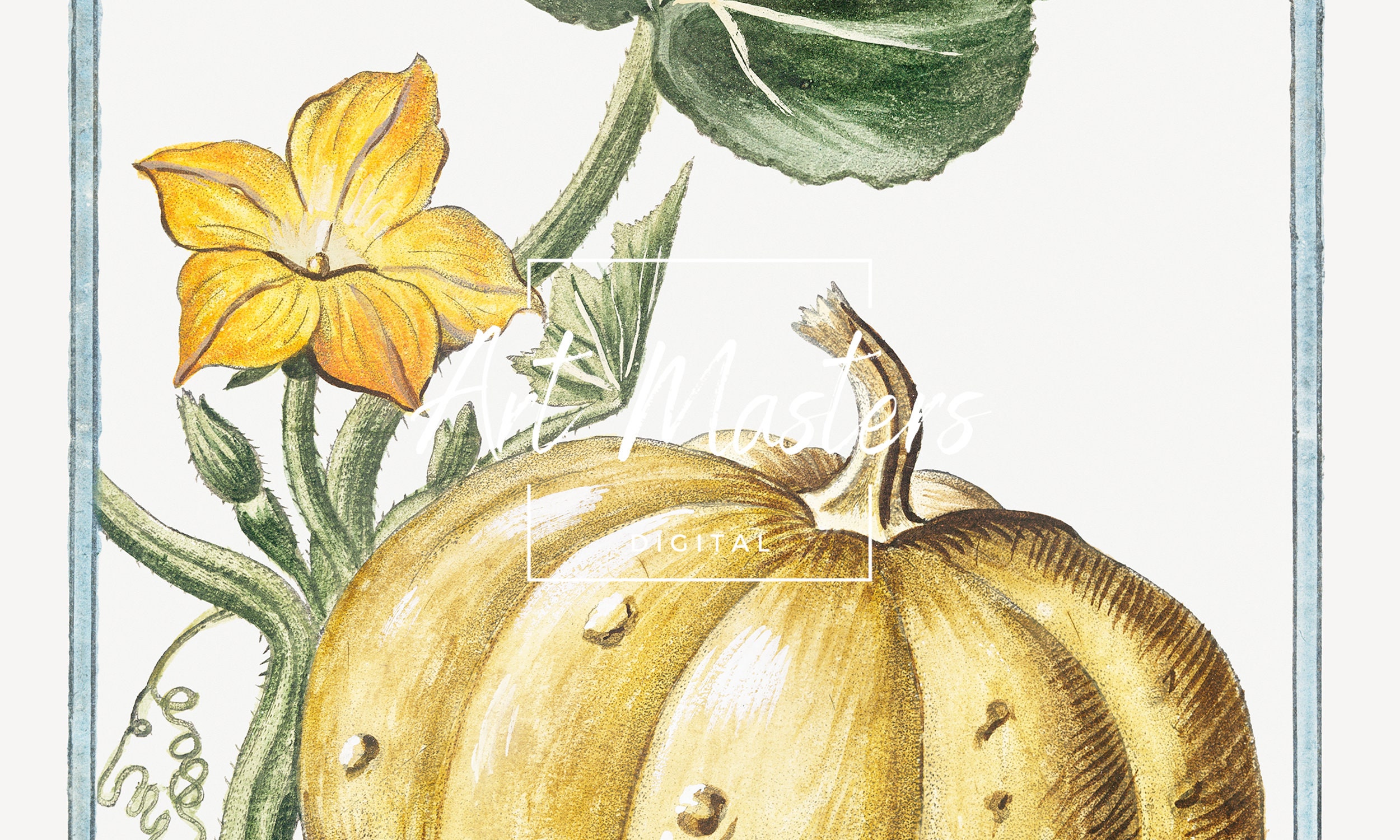 Vintage Vegetables Print Set, Vintage Botanical Prints, Cottage Garden ...