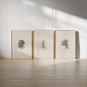 Tree Sketch Print Set, Antique Botanical Art, British Tree Drawings ...