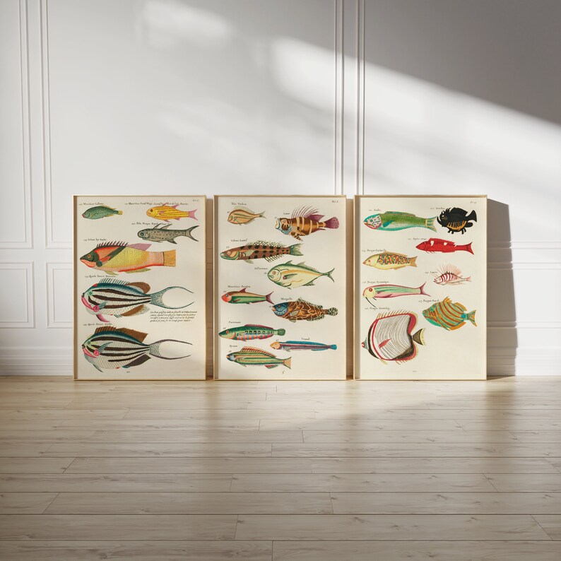 Vintage Marine Fish Print Set: Coastal Wall Art (digital Download) - Etsy