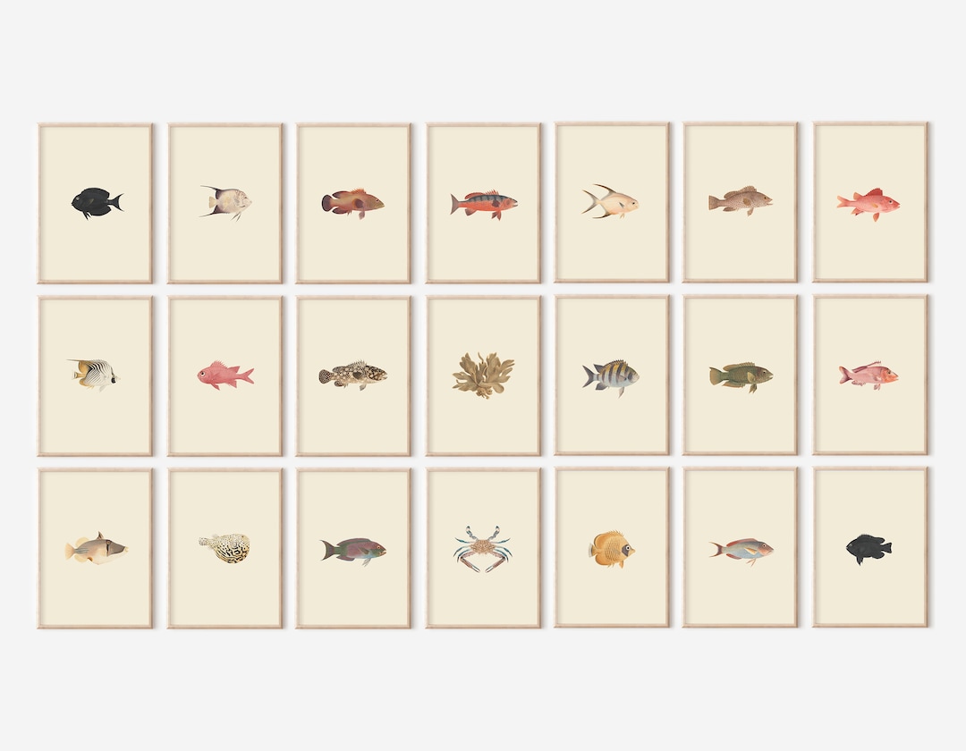 Neutral Fish Prints Gallery Wall Set, 21 Marine Prints, Fish Print Set ...