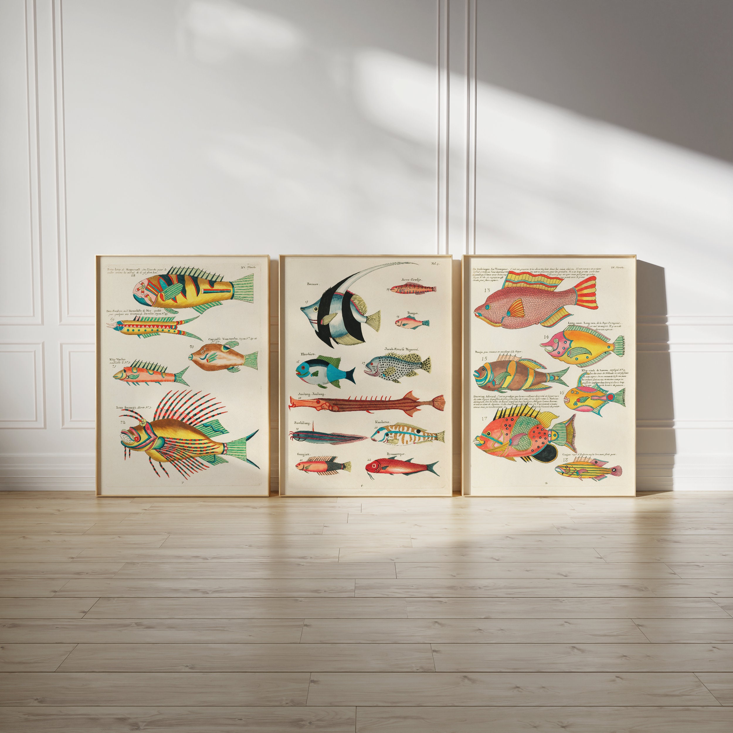 Vintage Fish Prints, Vintage Marine Wall Art Set, Marine Fish Print Set ...