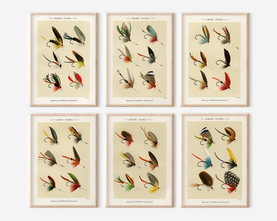 Fly Fishing Gallery Wall Set, Vintage Fishing Wall Art, Men's Decor ...