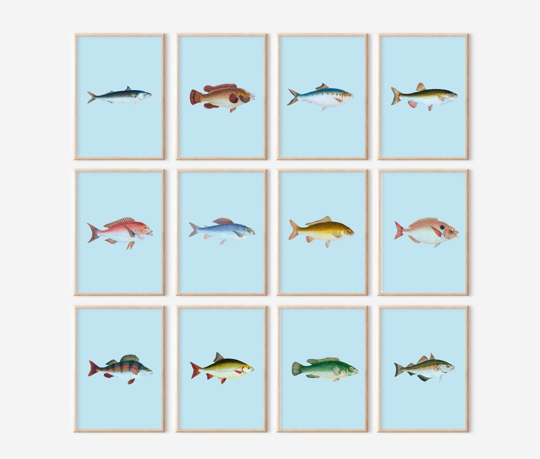 Blue Fish Gallery Wall Set, Fishing Art, Colourful Fishing Art Prints ...