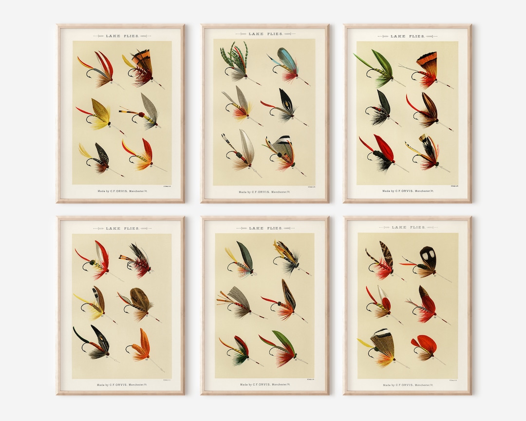 Fly Fishing Decor, Print Set for Fishing Lover, Salmon Flies, Fishing ...