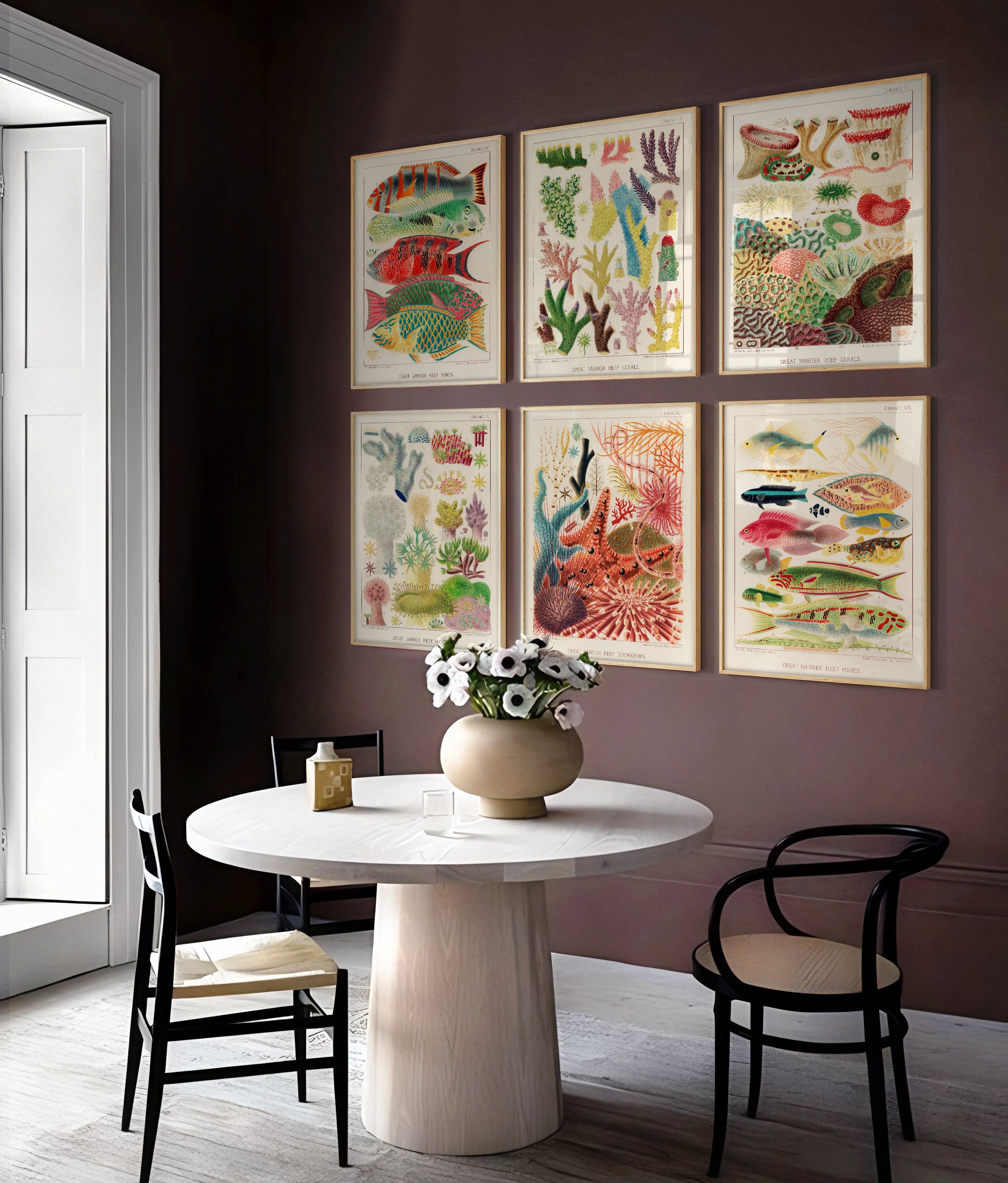 Fish Marine Prints Gallery Wall, Great Barrier Reef, Vintage Fish Wall ...