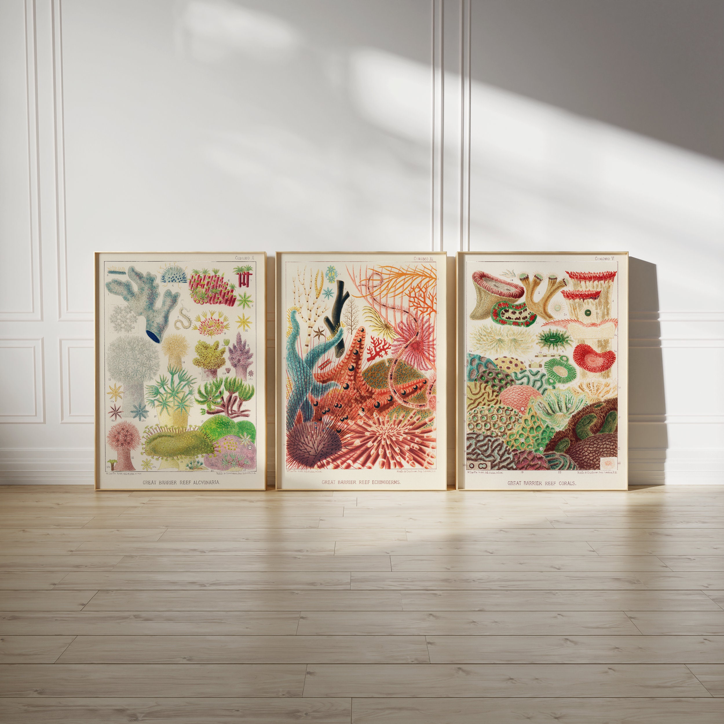 Great Barrier Reef Fish Prints, Vintage Marine Wall Art (digital ...