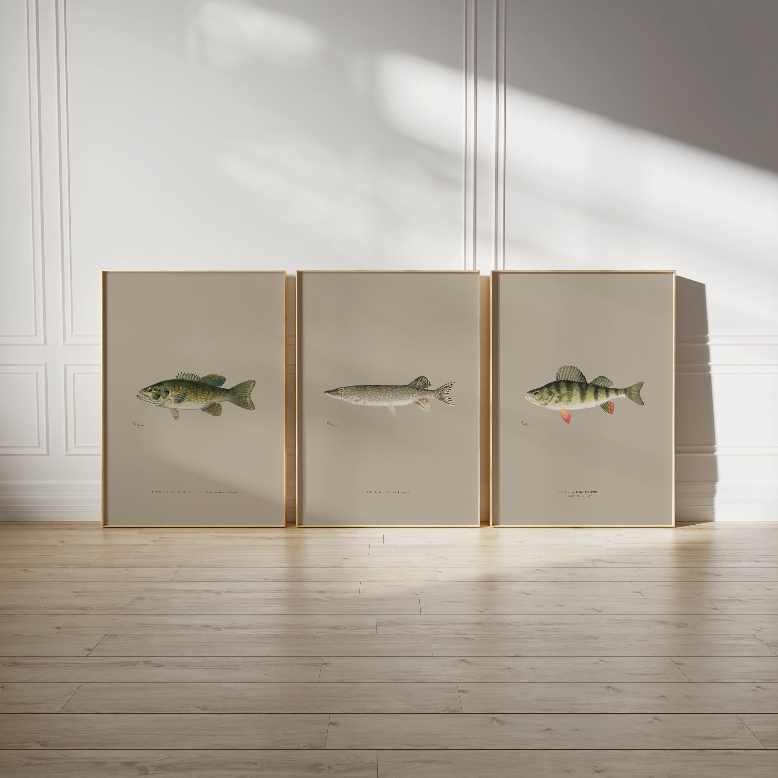 Neutral Freshwater Fish Prints Set, 6 Fish Prints, Lake Fish Print Set ...