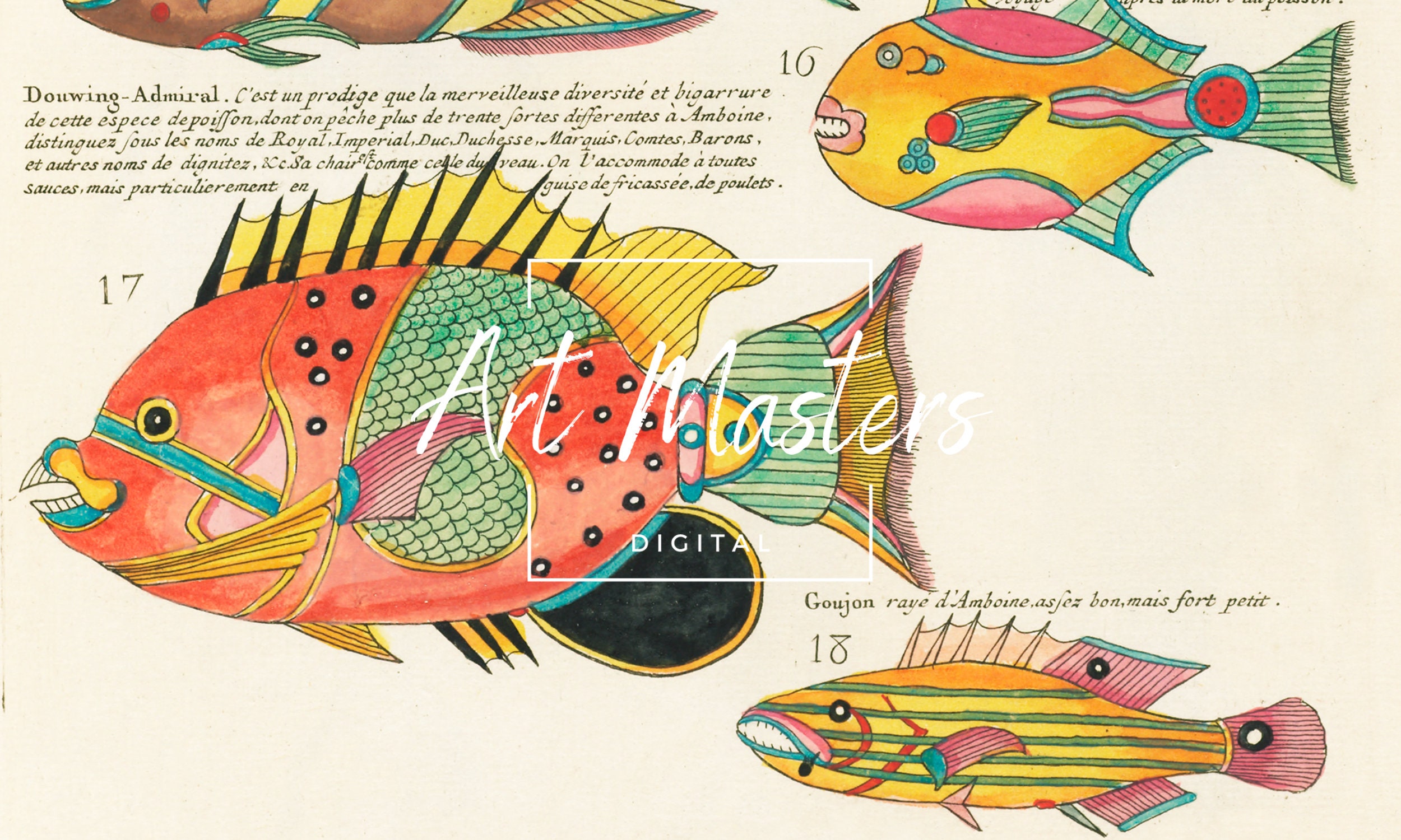 Vintage Fish Prints, Vintage Marine Wall Art Set, Marine Fish Print Set ...