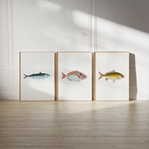 Marine Fish Prints Gallery Wall Set: British Fish Breeds (digital ...