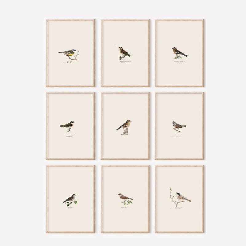 Birds Print - Etsy