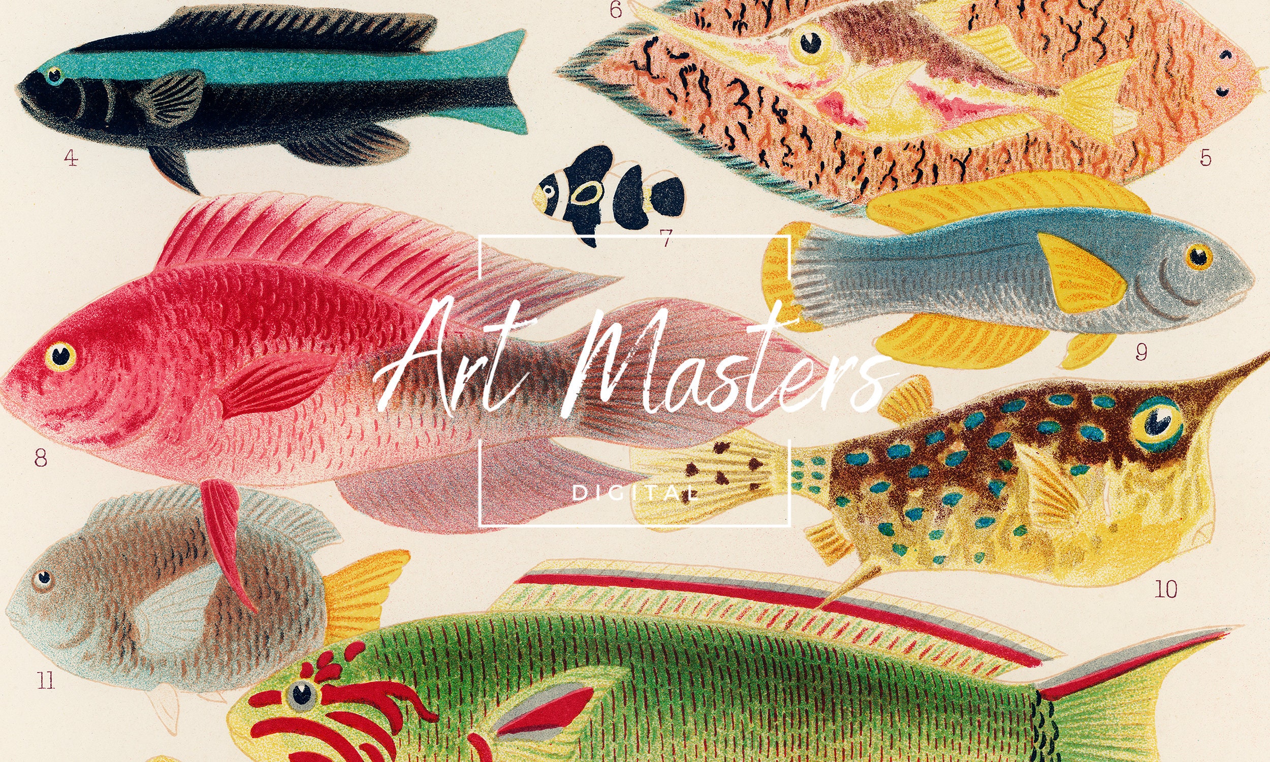 Fish Marine Prints Gallery Wall, Great Barrier Reef, Vintage Fish Wall ...