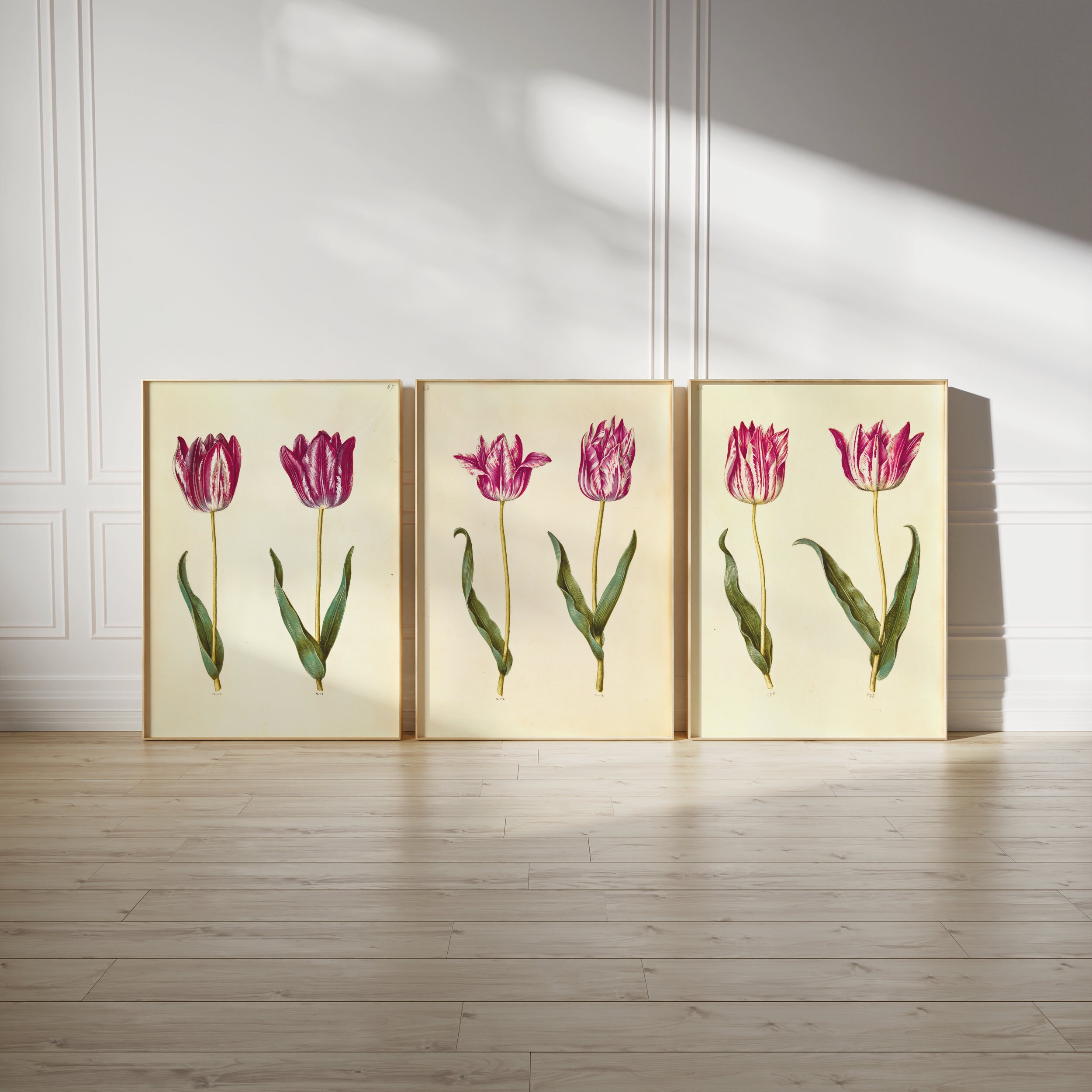 Tulip Print Set, Set of 6 Vintage Printable, Chic Wall Art, Classic ...