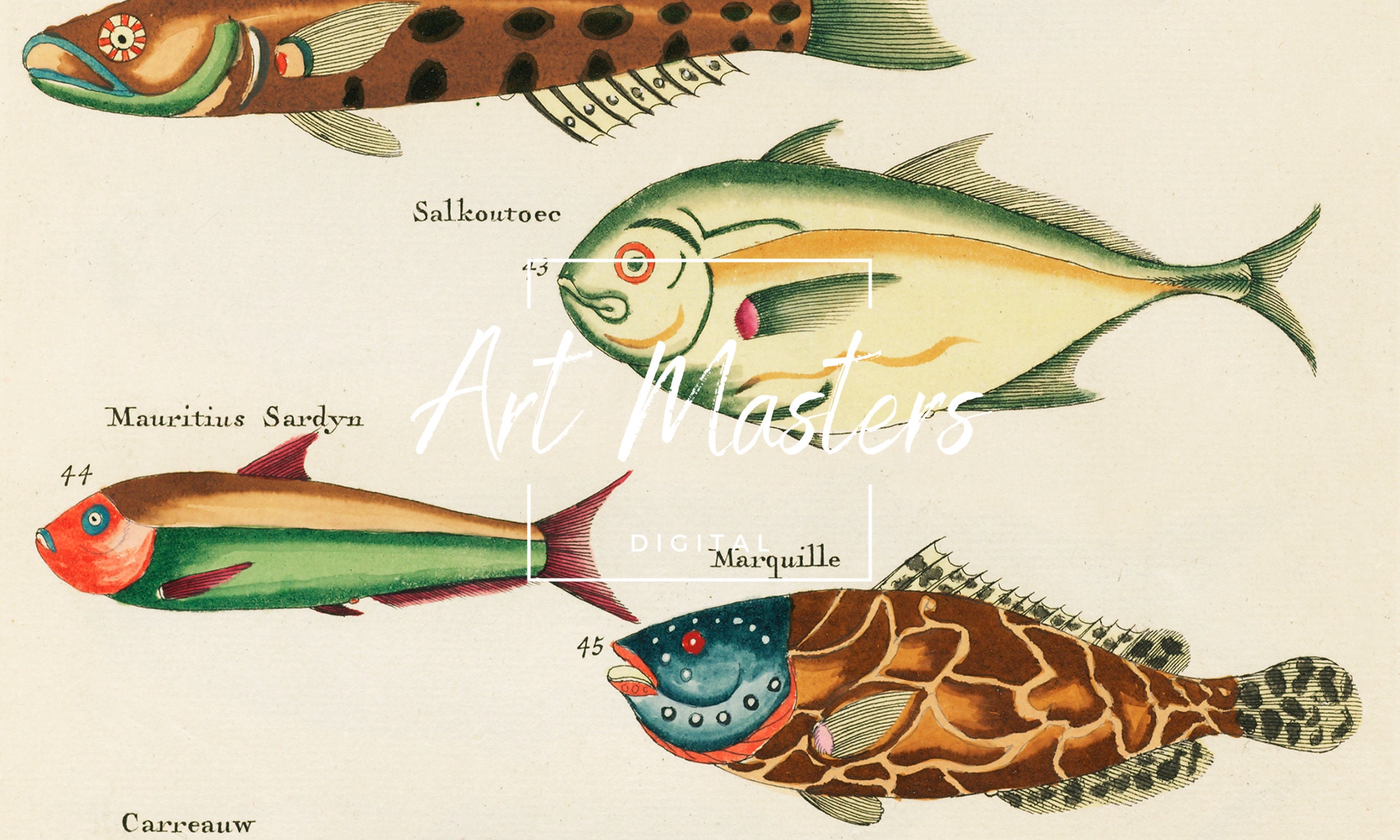 Vintage Fish Prints, Vintage Marine Wall Art Set, Marine Fish Print Set ...