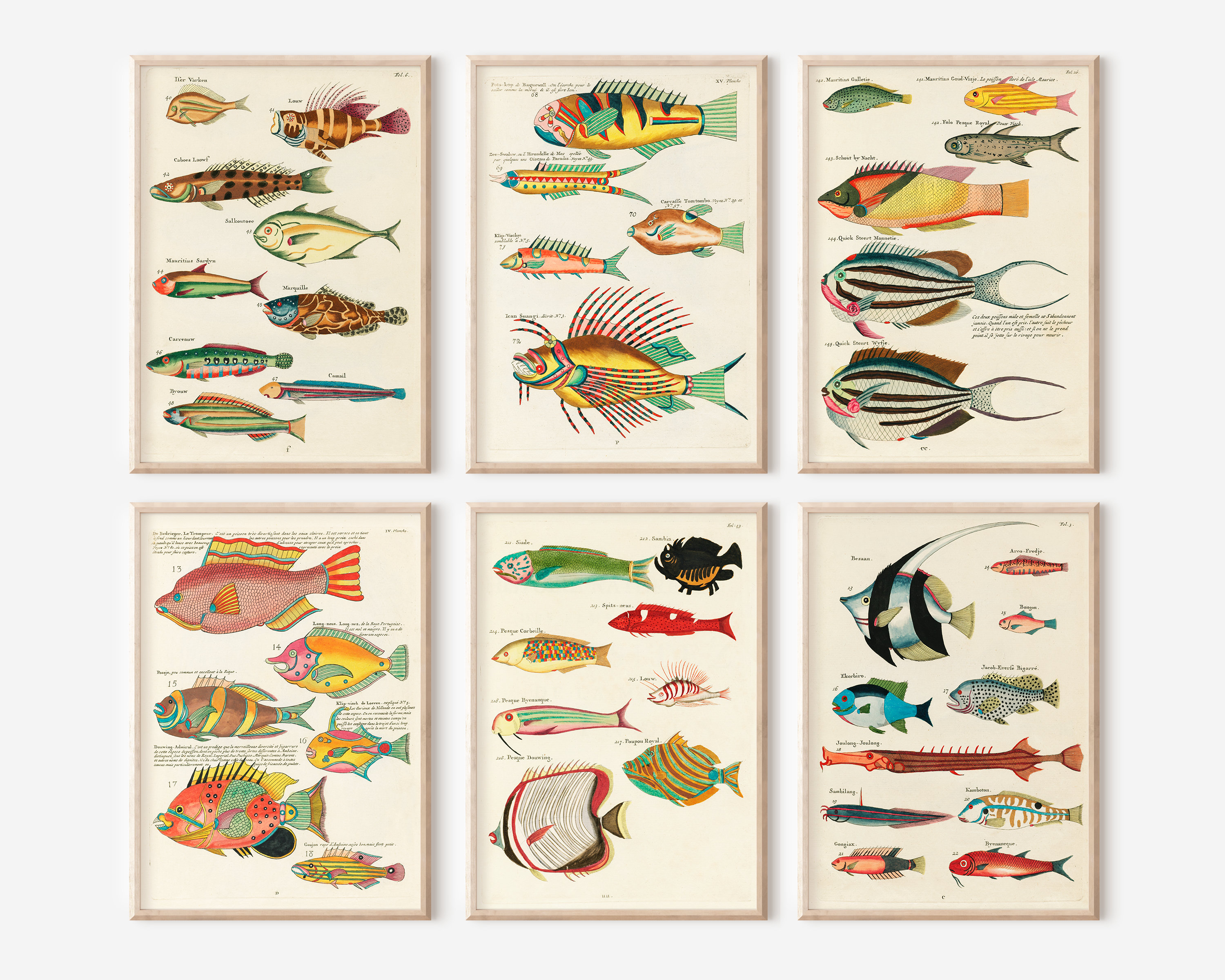 Vintage Fish Prints, Vintage Marine Wall Art Set, Marine Fish Print Set ...