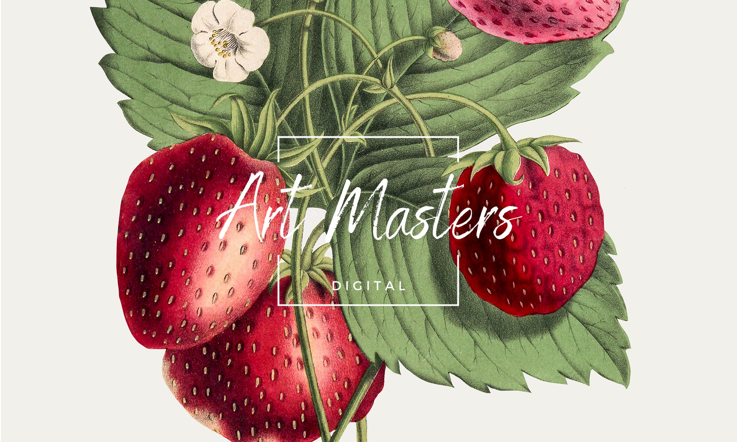 Printable Kitchen Fruit Art, Food Gallery Wall, Botanical Watercolour ...