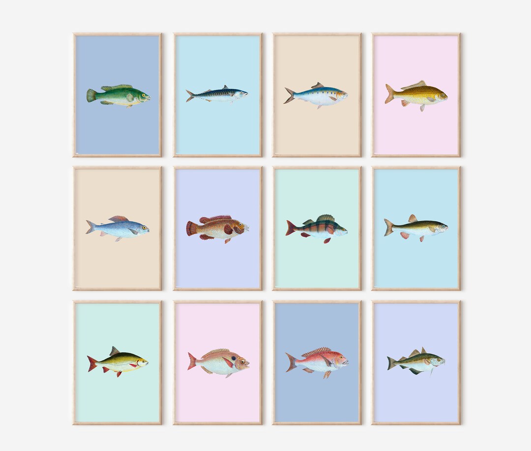 Pastel Fish Gallery Wall Set, Colourful Fish Wall Art, Fishing Print ...