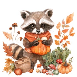 12 Harvest Raccoon Clipart, Thanksgiving Clipart, Printable Watercolor ...