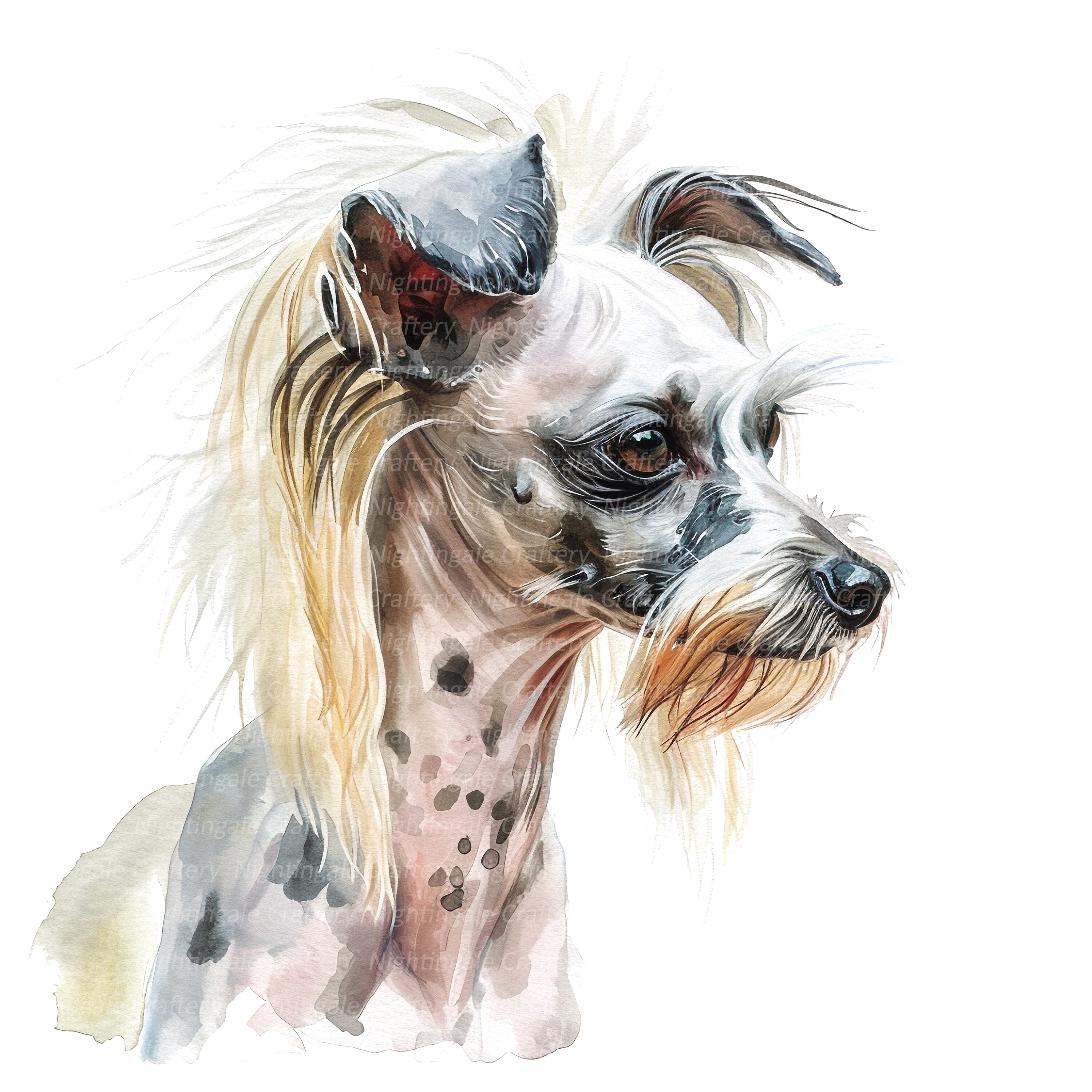 11 Chinese Crested Dog Clipart, Crested Dog Print, Printable Watercolor ...