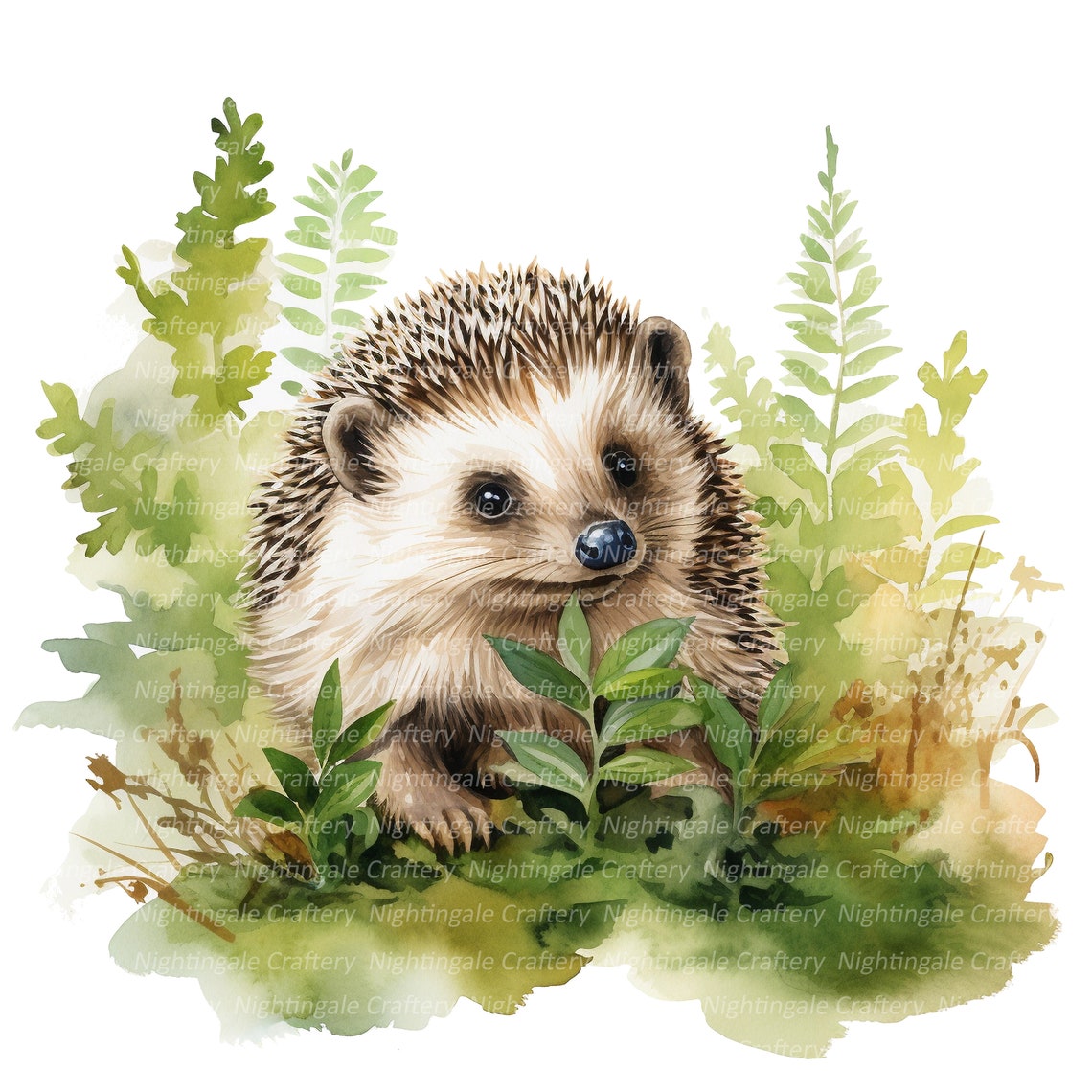 Cute Hedgehog in Greenery Clipart Printable Watercolor - Etsy