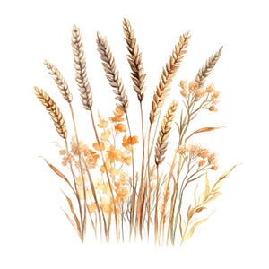 11 Boho Wheat Barley Stalks, Wheat Wall Art, High Quality JPG/PNG ...