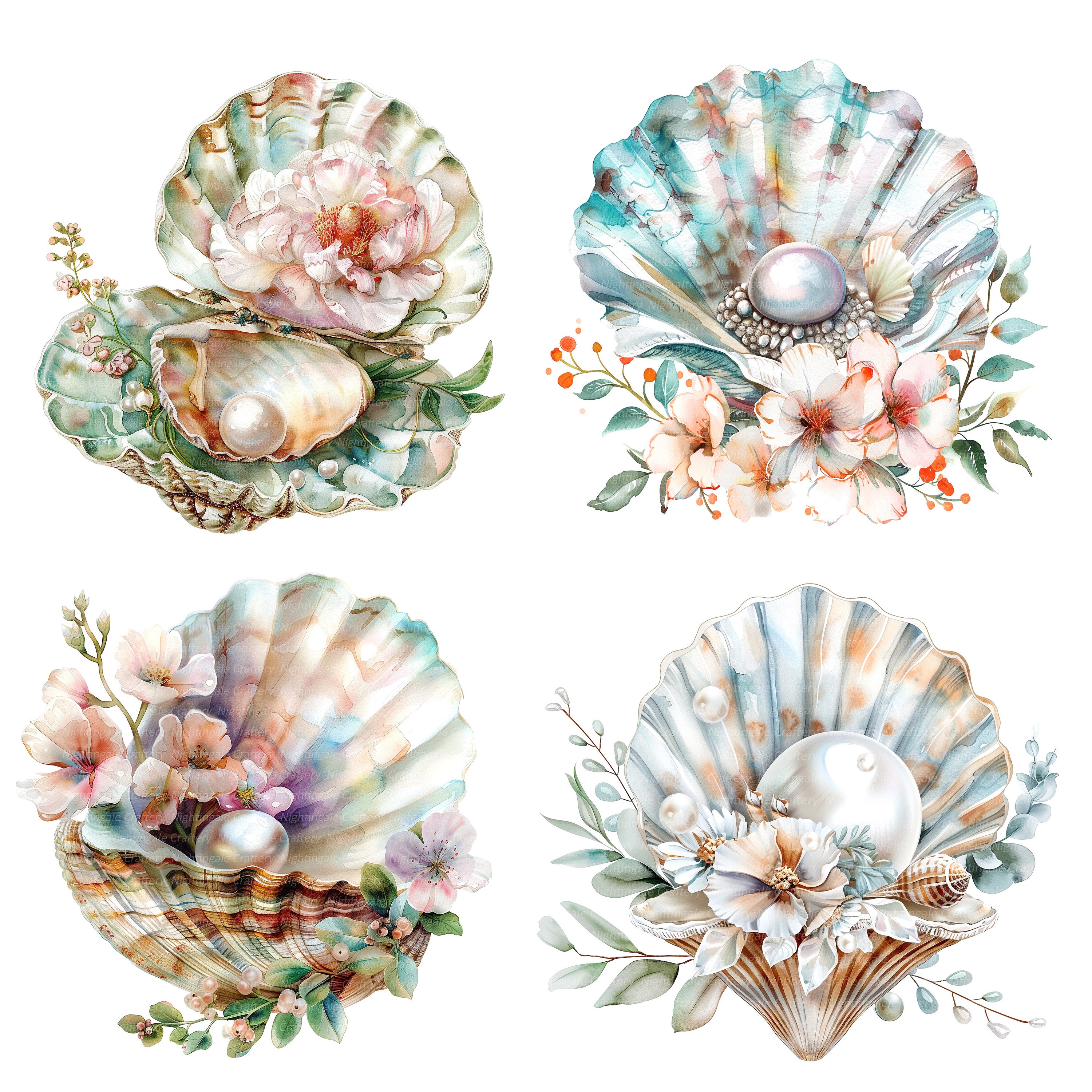 16 Sea Shells Clipart, Seashell Pearls Clipart, Printable Watercolor ...