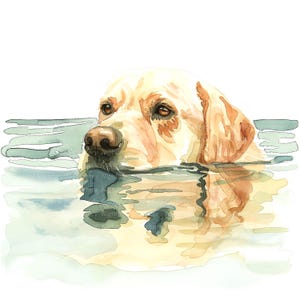 12 Golden Labrador Swimming Clipart, Dog Swim, Printable Watercolor ...
