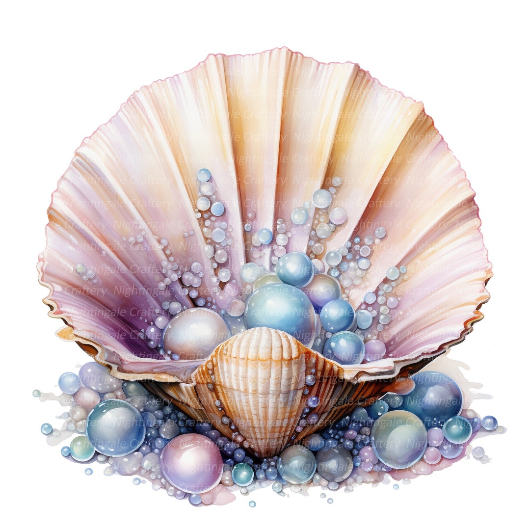 12 Sea Shells Pearls Clipart, Seashell Clipart, Printable Watercolor ...
