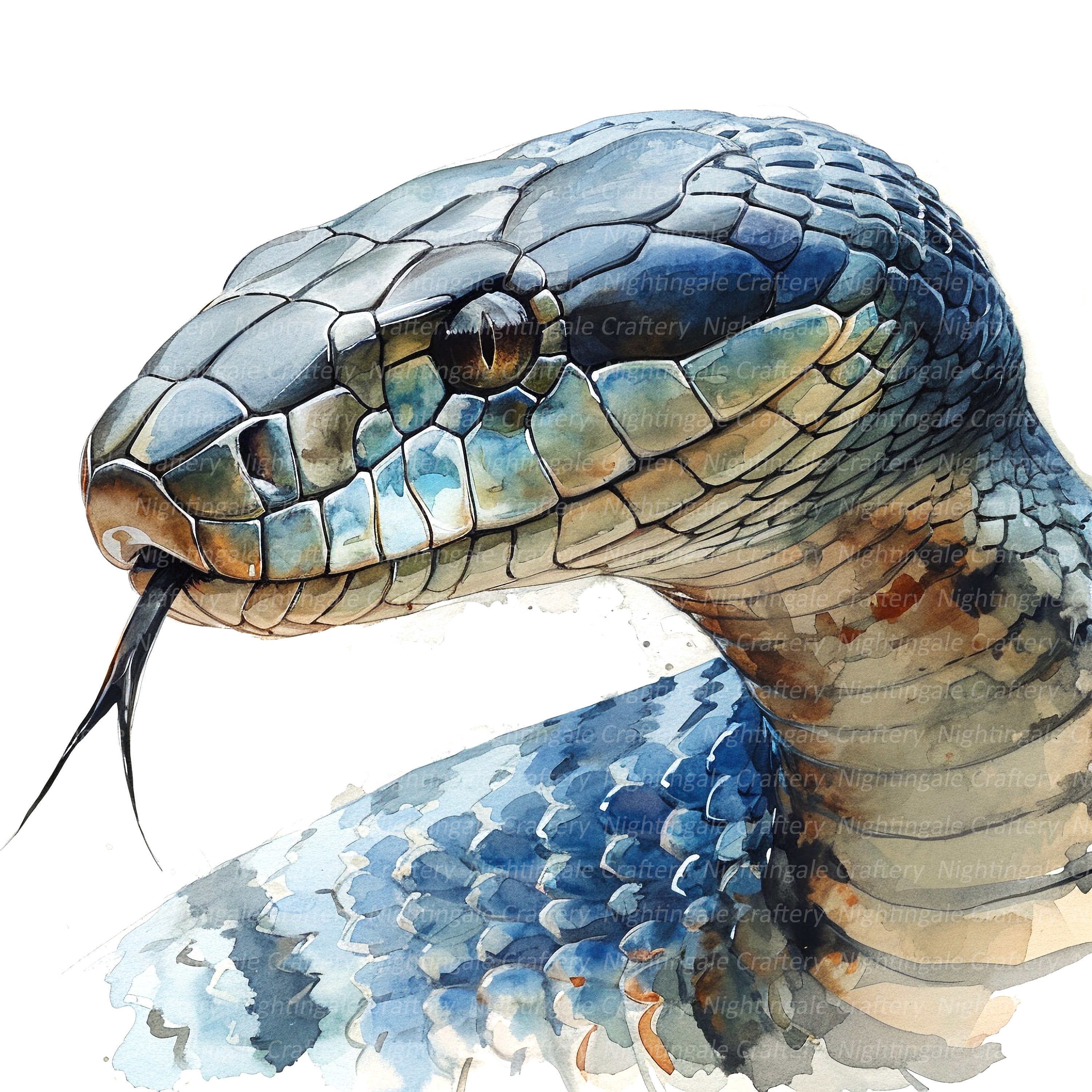 11 Watercolor Snake Clipart, Sublimation Snake, Printable Watercolor ...