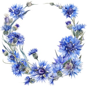 10 Cornflowers Wreath Clipart, Digital Clipart, Watercolor Clipart ...