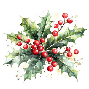 10 Holly Decor Clipart, Christmas Clipart, Digital Clipart, Watercolor ...