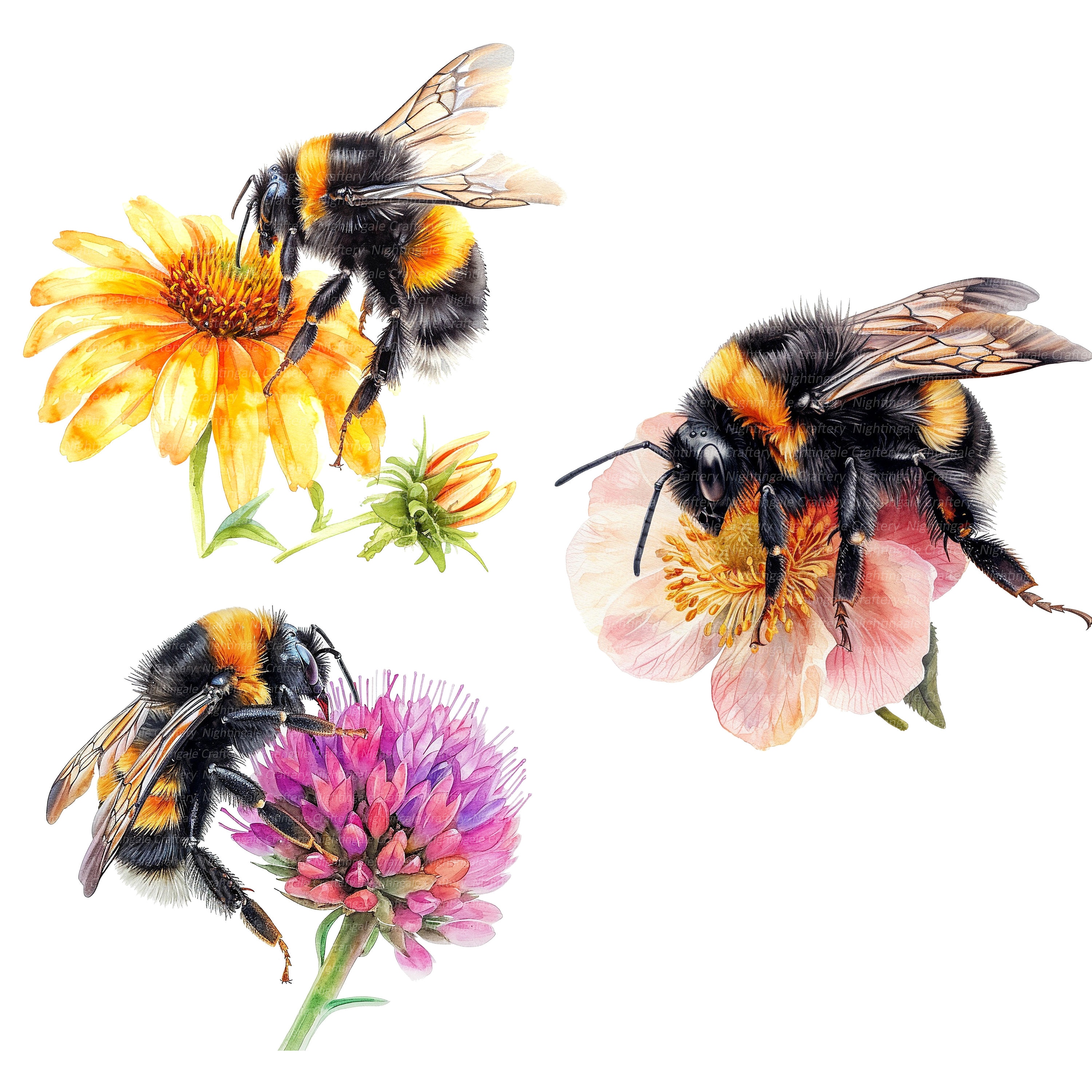 14 Bumblebee Clipart, Bumble Bee Clipart, Watercolor Bumblebee, High ...