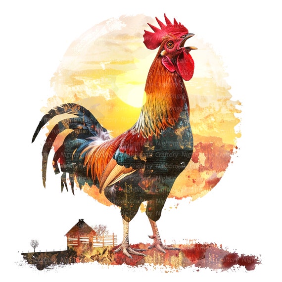 Rooster Wall Decals High Def Photographs Rooster Wall Stickers