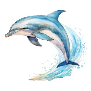 12 Dolphin Clipart, Dolphin Playing Clipart, Printable Watercolor ...