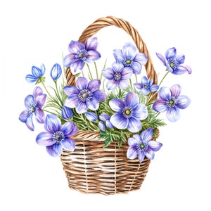 16 Spring Flowers Basket Clipart, Floral Basket, Printable Watercolor ...