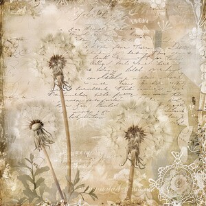 18 Vintage Dandelion Background Papers, 12 X 12 Digital Paper Pack ...