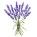 Lavender Clipart, Lavender Bouquet Set, Printable Watercolor Clipart ...
