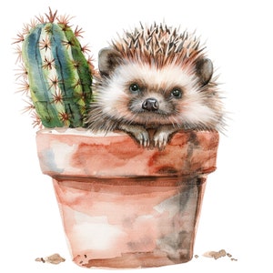 11 Hedgehog and Cactus Clipart, Cartoon Hedgehog, Printable Watercolor ...