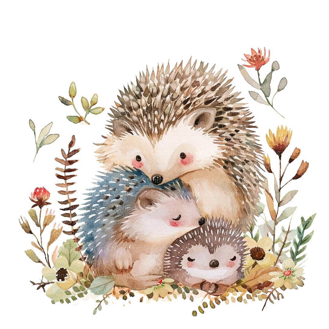 9 Hedgehog Family Cartoon Clipart, Boho Hedgehog, Printable Watercolor ...