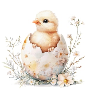 12 Easter Chick Hatching Clipart, Chicken Egg, Printable Watercolor ...