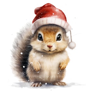 14 Squirrel Christmas Hat Clipart, Printable Watercolor Clipart, High ...